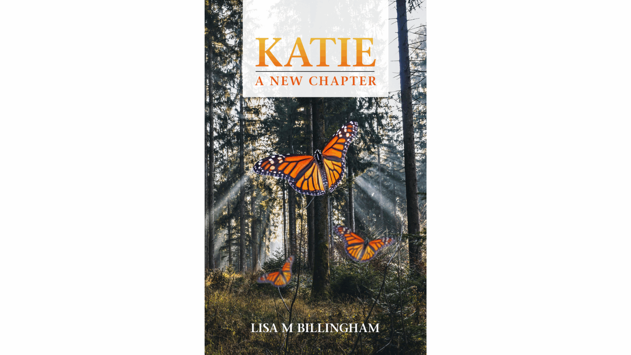 Why I Wrote My First Novel. Katie, A New Chapter - Lisa M Billingham